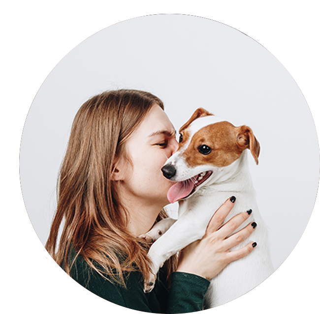 Home - Happy Dog Resort