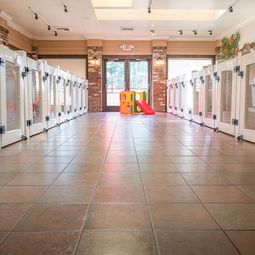 Lodging - Happy Dog Resort