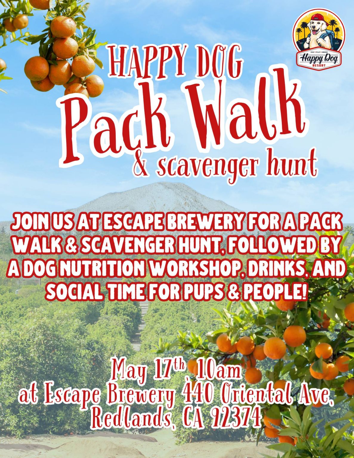 Happy Dog Pack Walk Scavenger Hunt - Happy Dog Resort